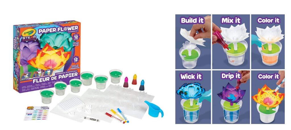 Crayola Paper Flower Science Kit